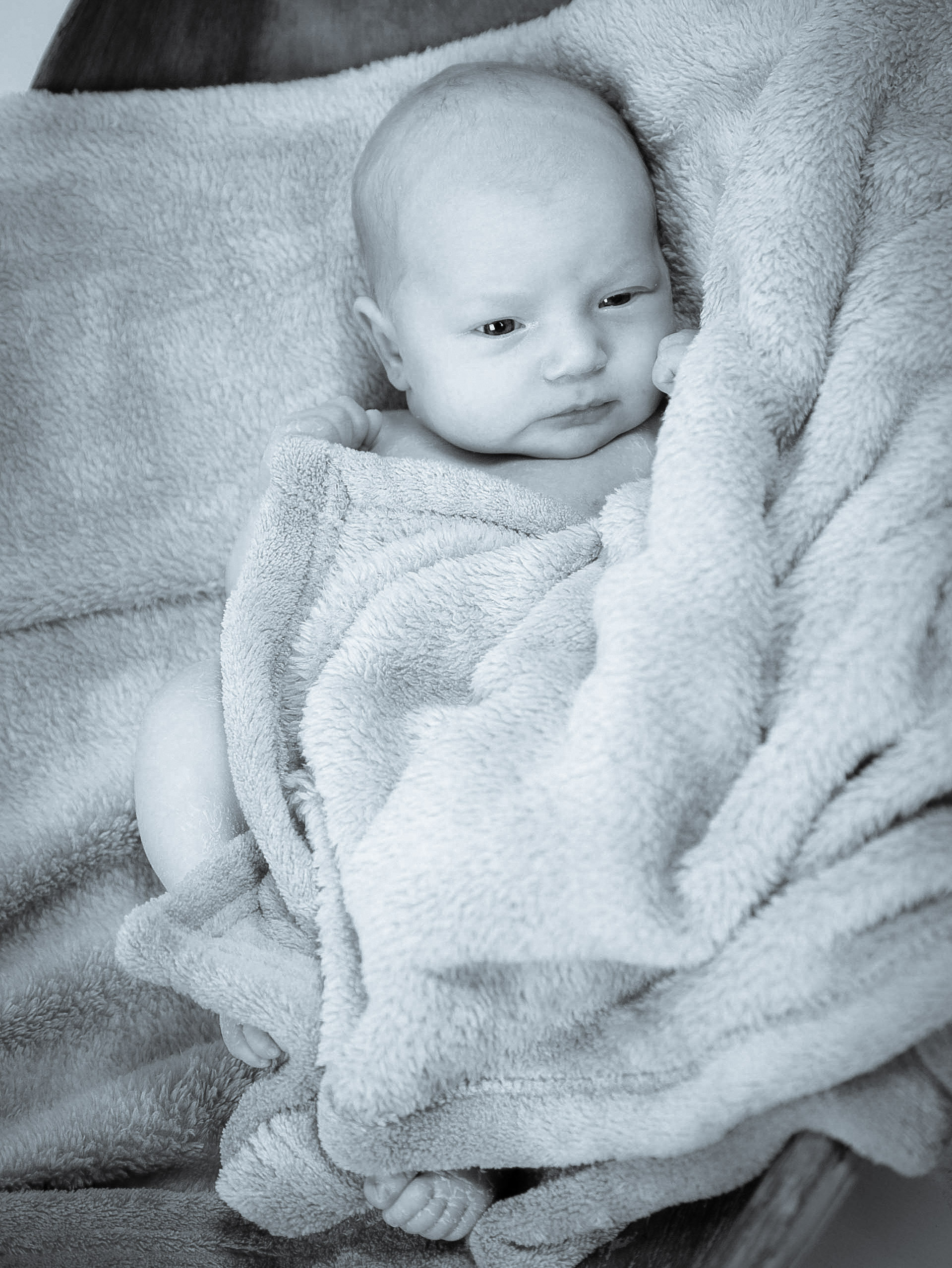 Daniel Pals Photographie - PORTFOLIO